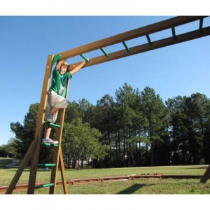Creative Playthings Monkey Bars/Ladder - The Outdoor Toy Centre